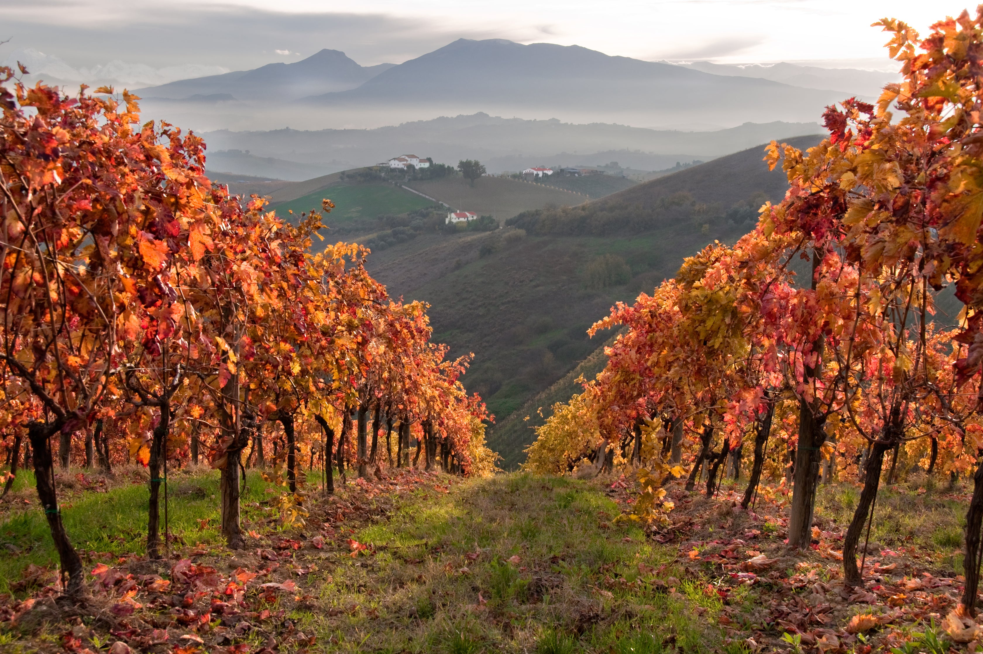 Perrine's Wine Shop – PERRINE's WINE SHOP